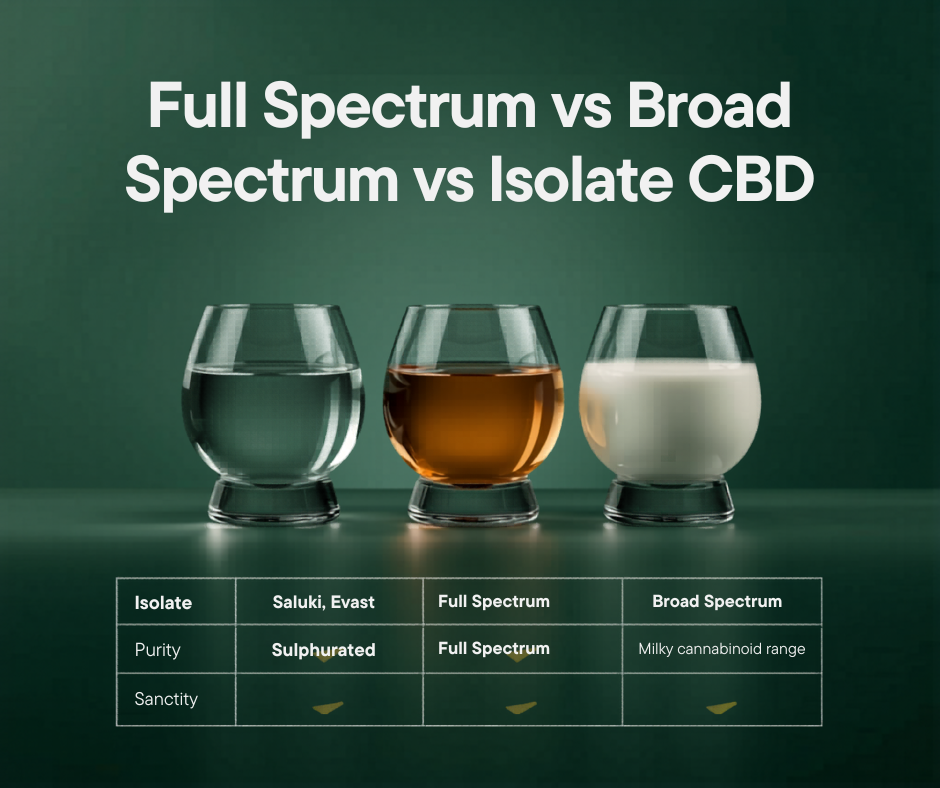 Full Spectrum vs Broad Spectrum vs Isolate: A B2B Buyer's Guide ...